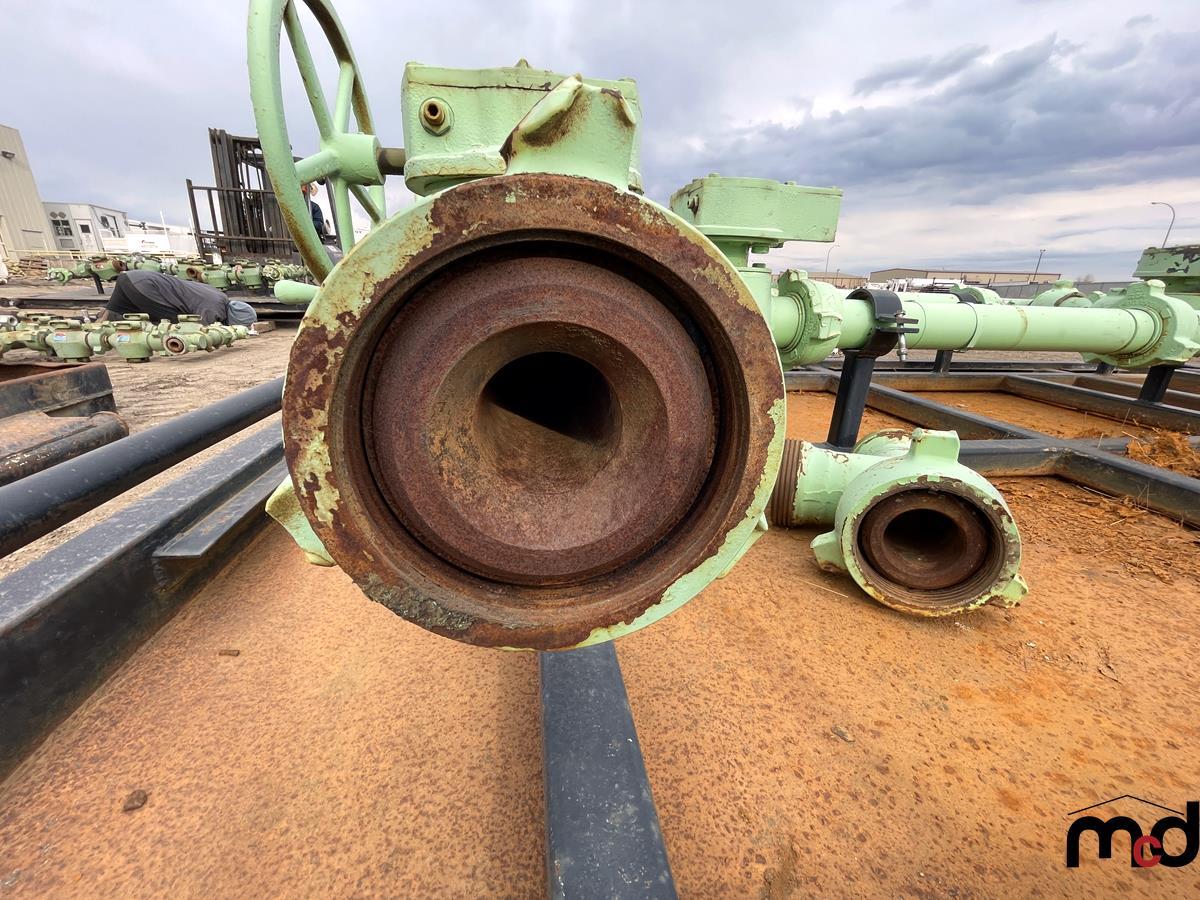 5-Valve Skid Mounted Junk Catcher