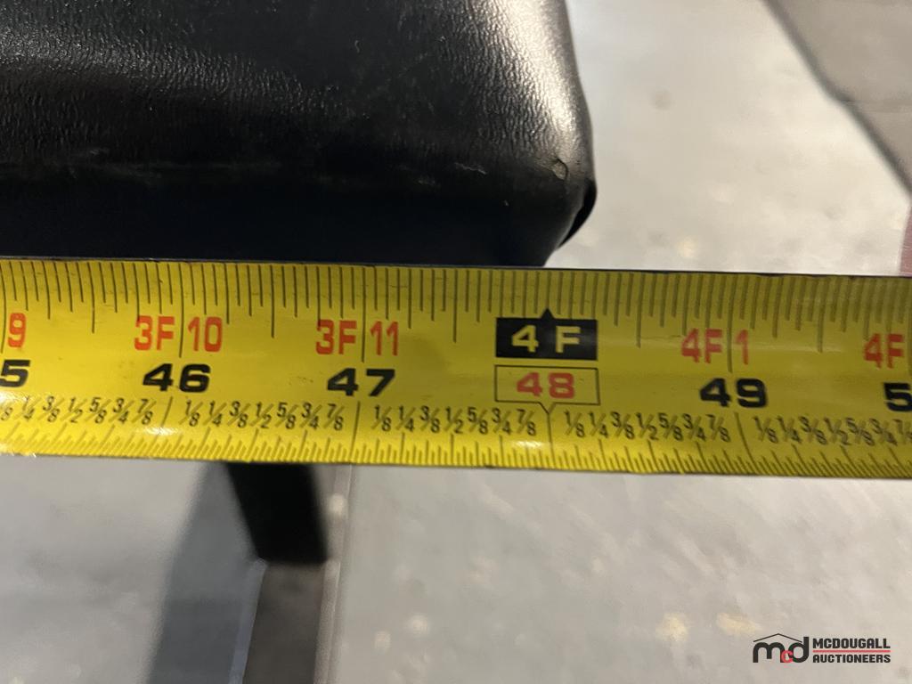 Northern Lights Bench