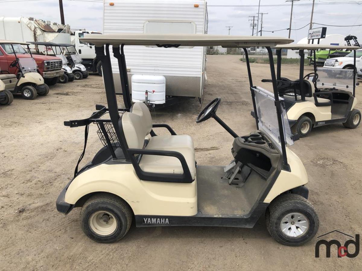 2017 Yamaha DR2E17 Electric Golf Cart