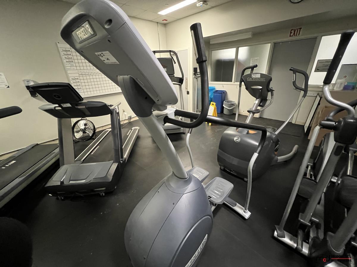 Precor CLM 835 Stepper