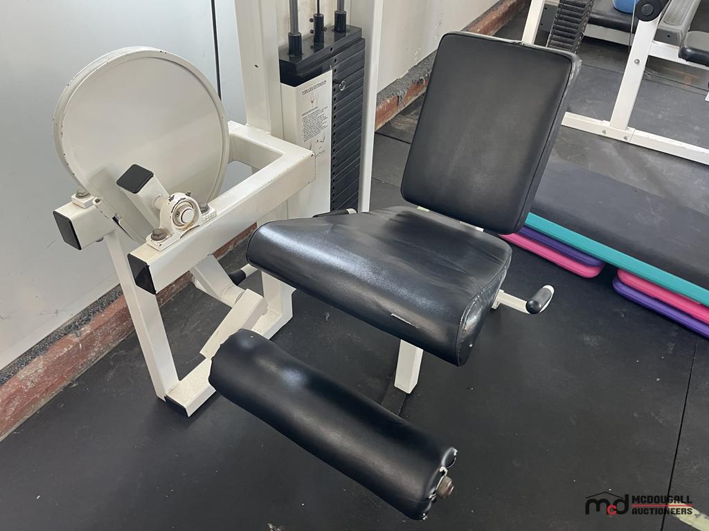 Pulse P306 Leg Extension Exercise Equipment