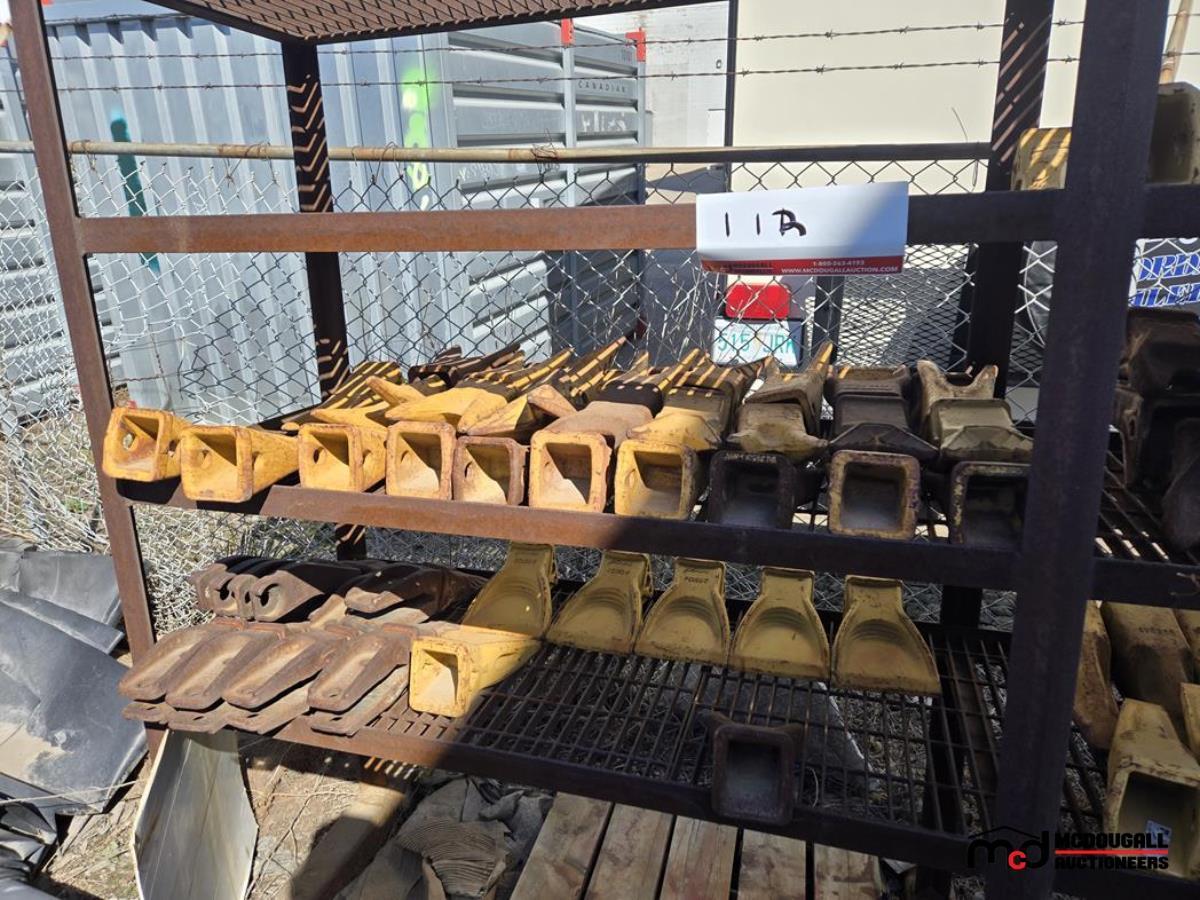 Assorted Bucket Teeth & Rack