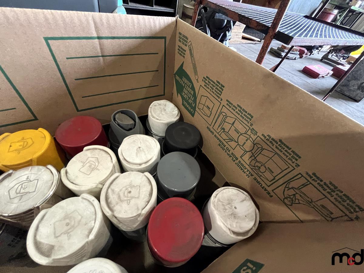 (2) Boxes of Spray Paint