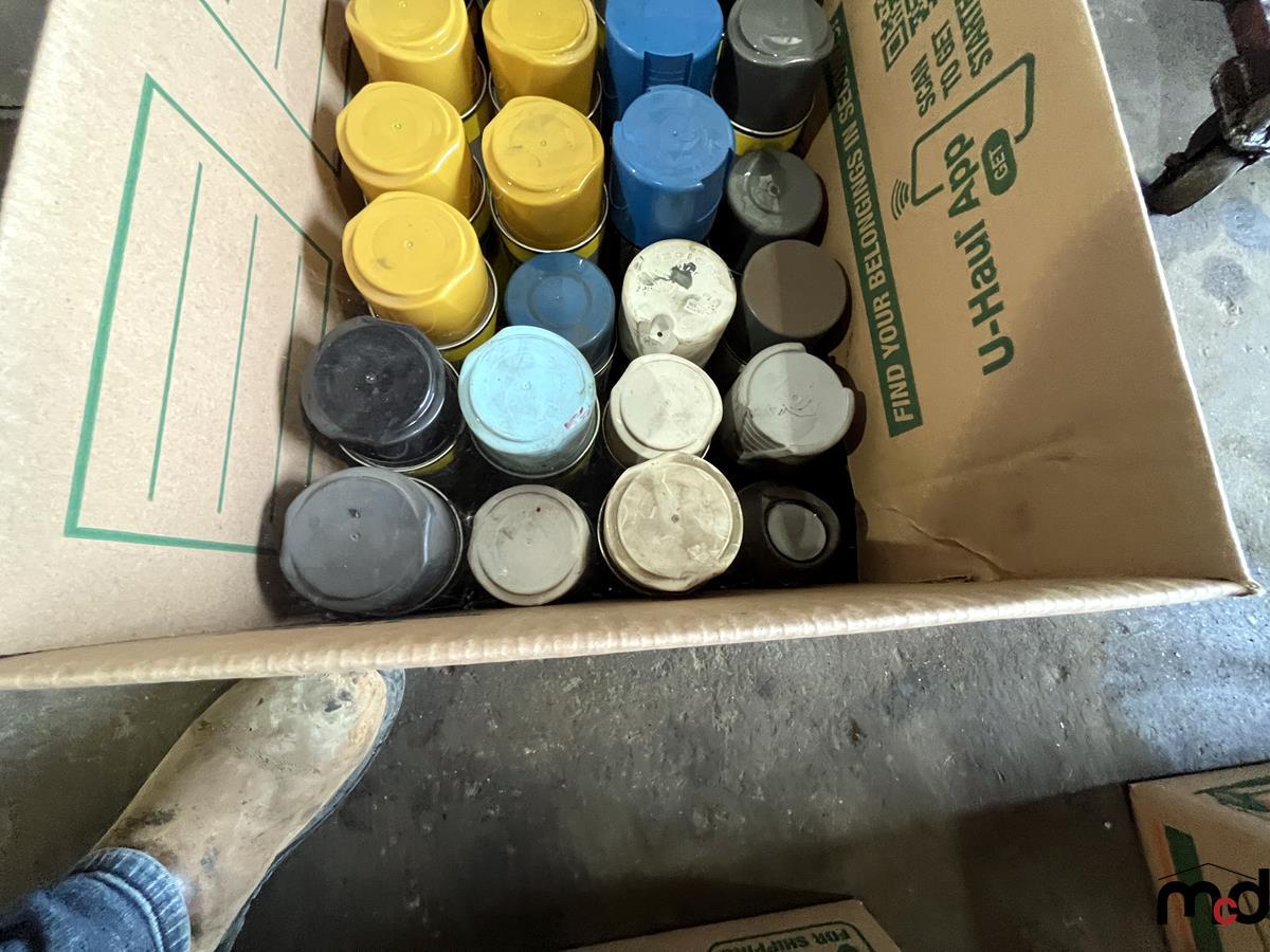 (2) Boxes of Spray Paint
